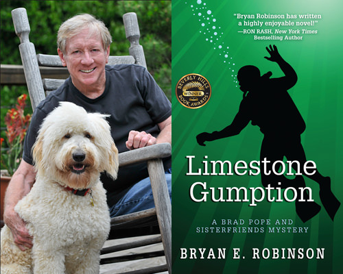 Award Winning Author Bryan E. Robinson on the Perfect Writing Space ...