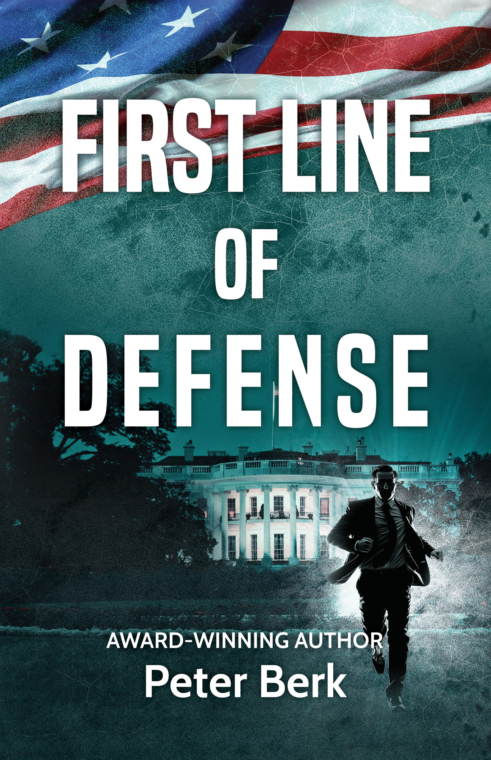 First Line of Defense: A Thriller - The Mystery of Writing