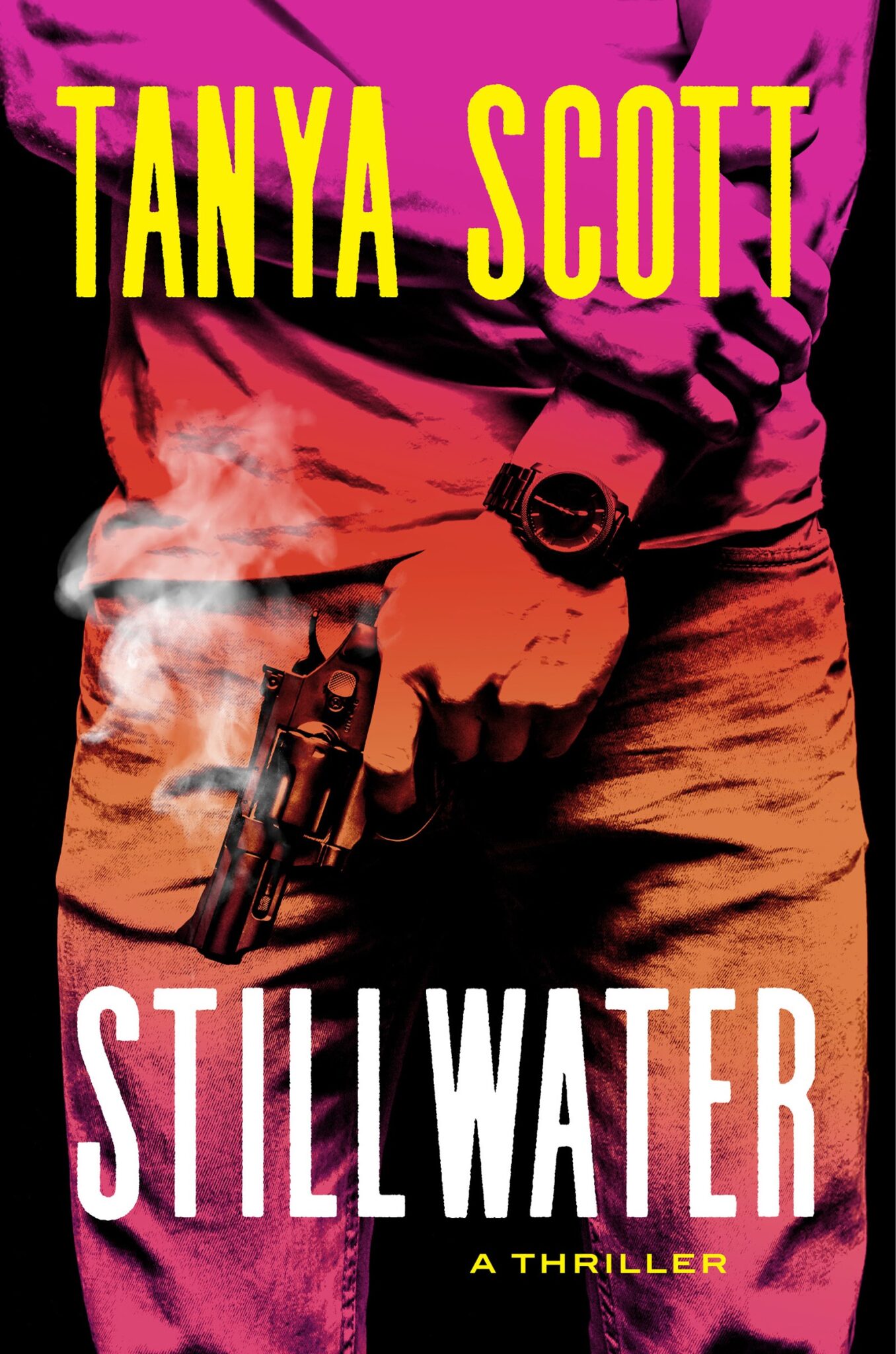 Stillwater: Debut Thriller - The Mystery of Writing